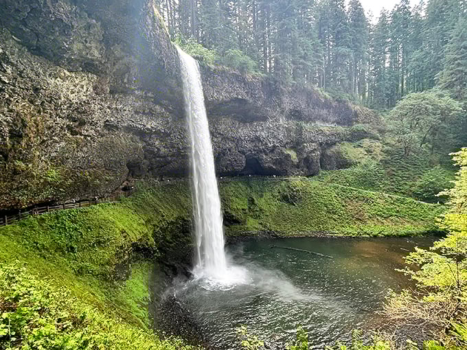 Nature's perfect staircase: Silver Falls' iconic pathway leads visitors to breathtaking views where mist meets moss in Oregon's crown jewel state park.