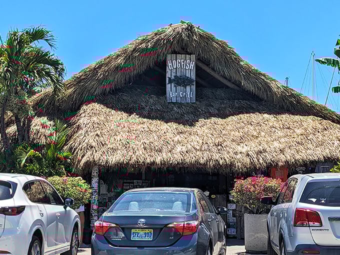 The thatched-roof entrance to Hogfish Bar & Grill feels like stumbling upon a secret clubhouse where the password is "fresh seafood."