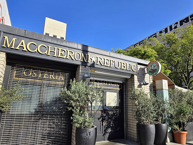 The golden lettering of Maccheroni Republic glows against brick walls, olive trees standing guard like Italian sentinels welcoming hungry pasta pilgrims.
