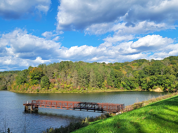 A wooden fishing pier stretches into the emerald waters of Dow Lake, inviting visitors to pause and soak in nature's masterpiece.
