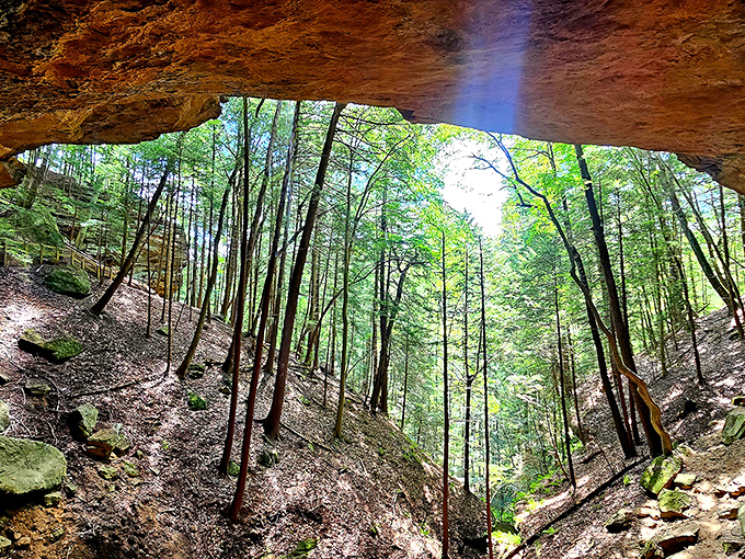 Nature's perfect frame: sunlight filters through ancient trees as seen from inside one of Hocking Hills' many sandstone recesses. Middle Earth, Ohio edition.