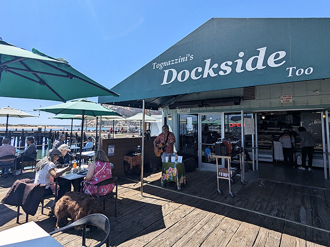Waterfront dining doesn't get more authentic than this—Tognazzini's Dockside Too sits right on the wooden planks where your lunch was probably swimming yesterday morning.