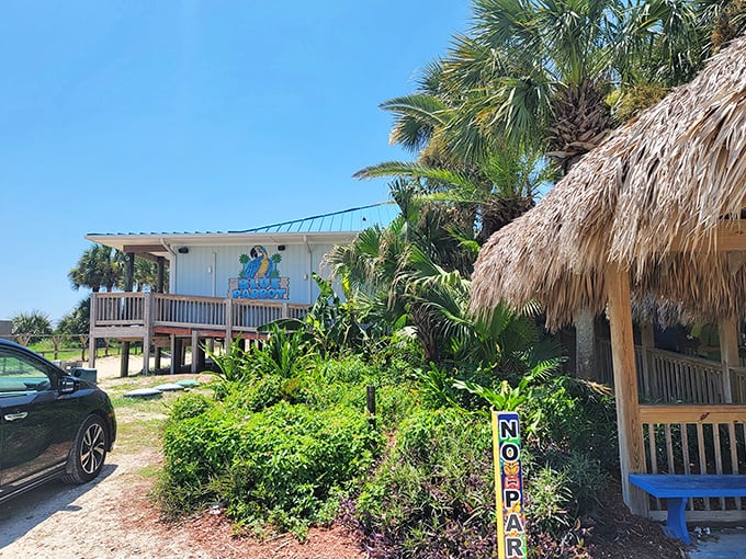 Where thatched roofs meet turquoise waters—the Blue Parrot's beachfront entrance promises Florida coastal dining without a hint of pretension.