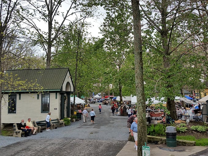 Welcome to treasure hunter's paradise! Shupp's Grove's charming entrance invites you into a world where yesterday's castoffs become today's must-haves. 