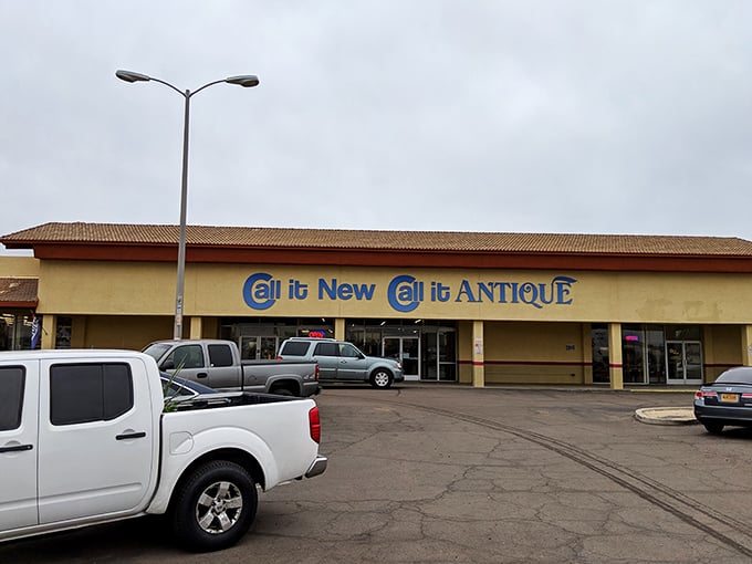 Welcome to Mesa's treasure chest, where "Call it New / Call it Antique" promises adventures in every aisle.
