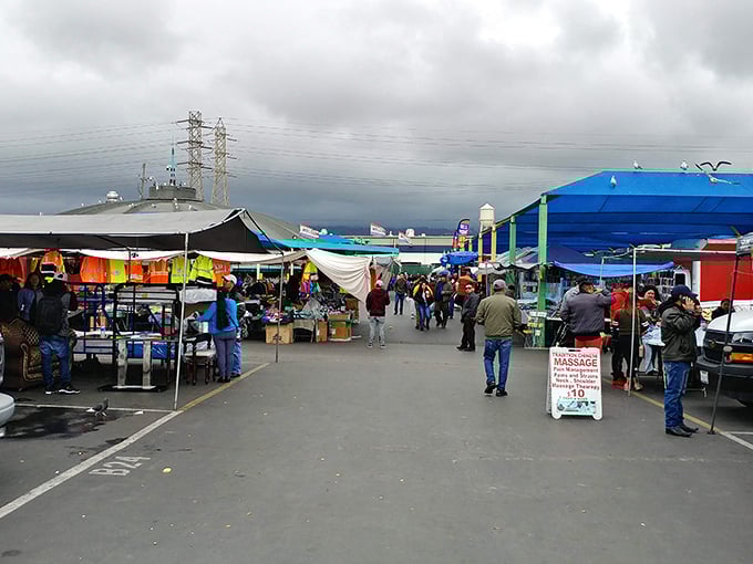 Beneath Oakland’s overcast sky, the bustling Coliseum Public Market welcomes bargain hunters daily with promises of treasures and family memories.