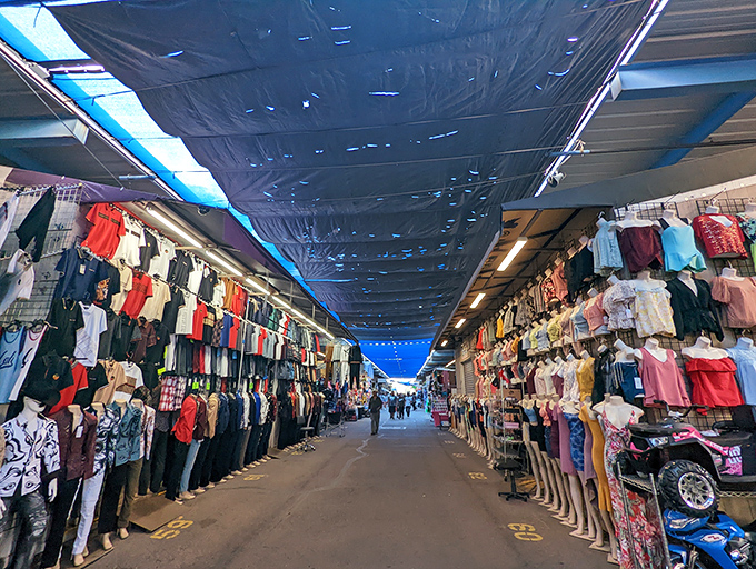 The blue canopy stretches like an Arizona sky above this treasure-seeker's highway. Vendors line both sides, their wares beckoning with silent promises of undiscovered bargains.