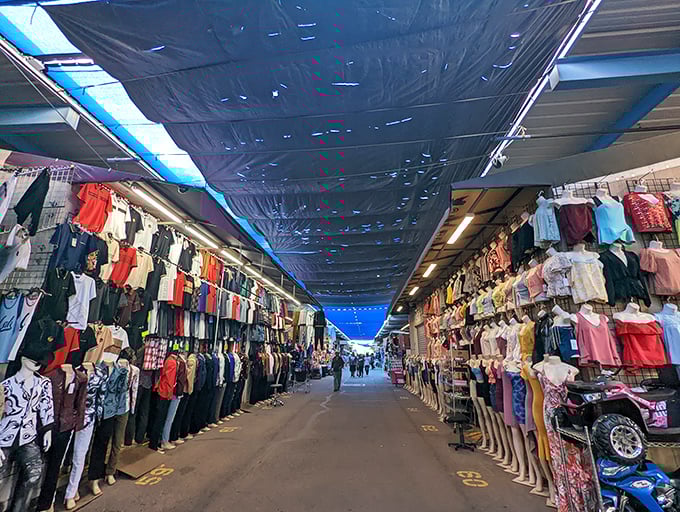 The blue canopy stretches like an Arizona sky above this treasure-seeker's highway. Vendors line both sides, their wares beckoning with silent promises of undiscovered bargains.