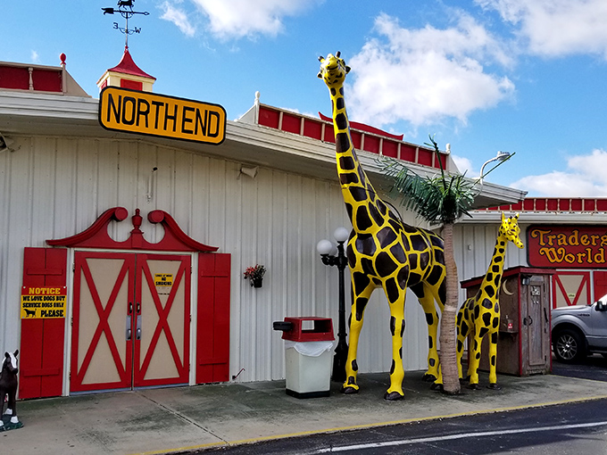 Those iconic yellow giraffes aren't just decorative – they're sentinels guarding the entrance to a wonderland of retail possibilities at Traders World's North End.