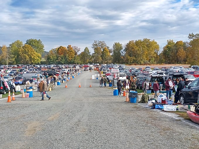 The Sunday morning pilgrimage begins! Jake's sprawling marketplace transforms from empty lot to treasure hunter's paradise faster than you can say "vintage bargain."