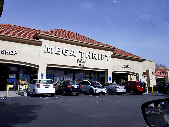 The unassuming storefront of Mega Thrift belies the wonderland within – like finding a portal to bargain dimension hiding in plain sight at a suburban strip mall.