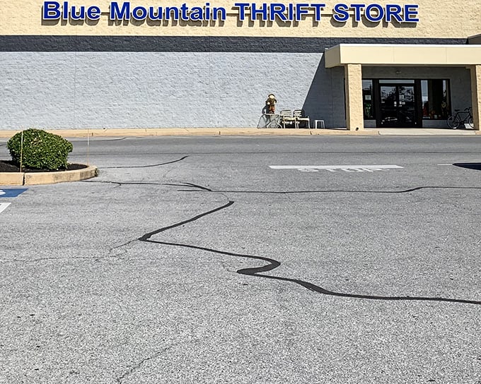 The unassuming exterior of Blue Mountain Thrift Store—like finding a five-star restaurant in a strip mall, the treasures inside defy the modest façade.