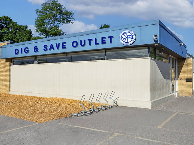 The blue facade of Dig & Save beckons like a portal to another dimension—one where treasures await those brave enough to hunt.
