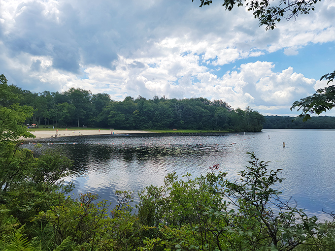 Nature's perfect postcard moment: a bench, a picnic table, and a glistening lake that reflects the sky like it's showing off for company.