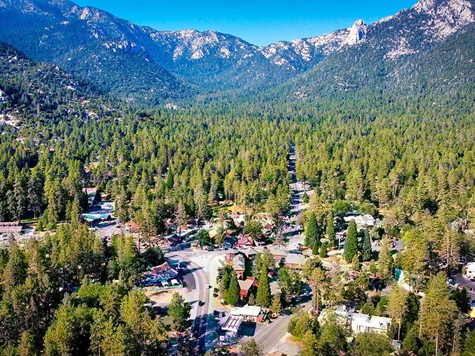 A bird's-eye view of paradise! Idyllwild nestles among towering pines like nature's perfect hideaway, with mountains standing guard over this peaceful retreat.