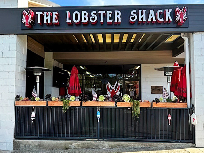 The red lobster signs flanking the entrance aren't just decoration—they're beacons calling to seafood lovers like maritime lighthouses guiding hungry sailors home.