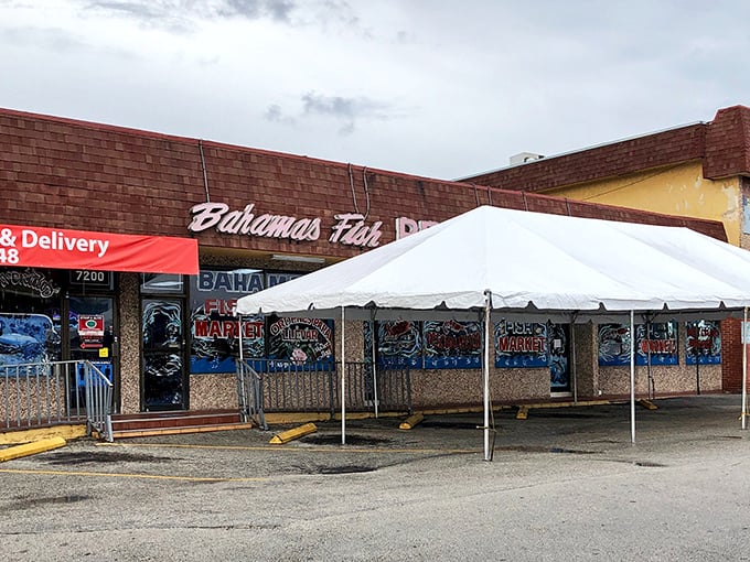 The unassuming exterior of Bahamas Fish Market & Restaurant might not stop traffic, but trust me—what's inside will stop your heart (in the good way).