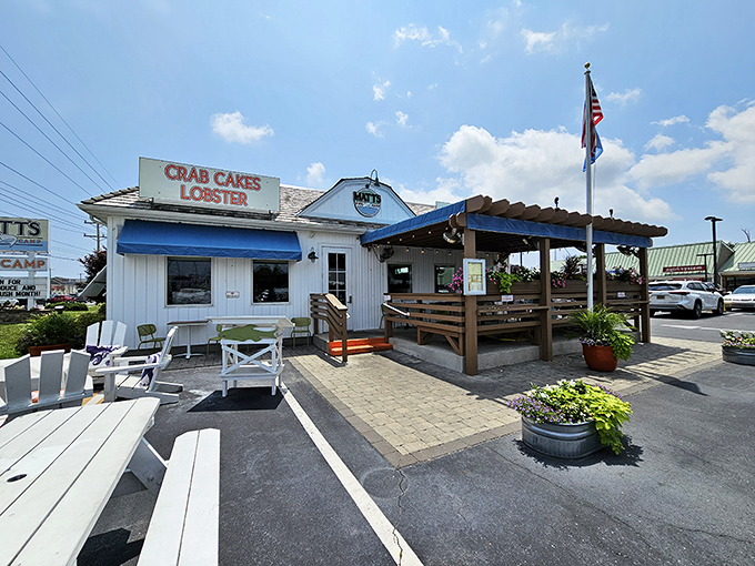 The coastal charm hits you before the first bite—white clapboard, blue awnings, and those inviting Adirondack chairs practically whispering "seafood paradise ahead."