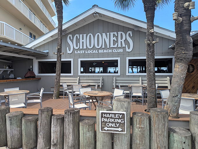 Schooners proudly wears its "Last Local Beach Club" title like a badge of honor, with weathered pilings and palm trees completing the perfect Florida postcard setting.