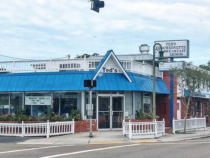 Ted's iconic blue roof stands out like a beacon of culinary hope on Walsingham Road, promising simple pleasures done extraordinarily well.