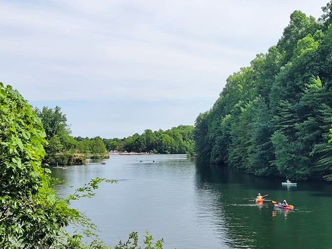 Kayakers glide through tranquil waters bordered by lush forest canopies—nature's version of a luxury cruise, minus the buffet line and questionable entertainment.