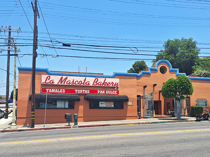The iconic storefront of La Mascota Bakery stands proudly in Boyle Heights, its vintage sign promising three pillars of Mexican comfort: tamales, tortas, and the star attraction—pan dulce.