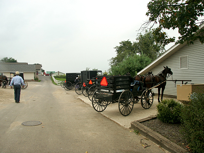 Time stands still as a horse and buggy clip-clops past weathered barns. This isn't a movie set—it's just Tuesday in Mount Hope. 