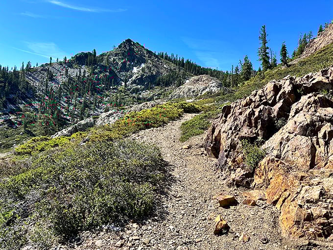 Nature’s rooftop? This alpine trail winding through Sierra pines offers panoramic views so breathtaking, they’ll make your smartphone camera feel obsolete.