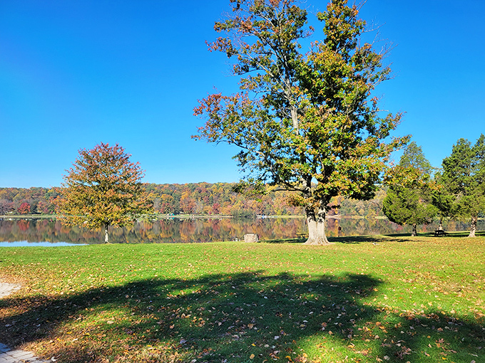 Fall's paintbrush transforms Pinchot Lake's shoreline into nature's masterpiece—perfect for picnics and peaceful contemplation away from daily chaos.