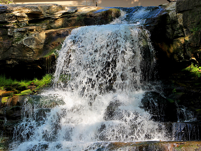 Nature's perfect cascade – Brandywine Falls tumbles 65 feet over ancient rock layers, creating a hypnotic display that's worth every step of the journey.