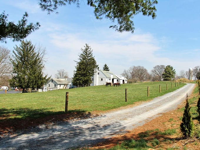 A quintessential Paradise scene: gravel roads winding past white farmhouses where horses graze peacefully under endless blue skies.
