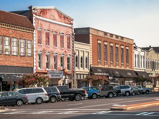 Rome's skyline is a love letter to red brick and Southern charm, where historic buildings stand proudly against the backdrop of rolling Georgia hills.