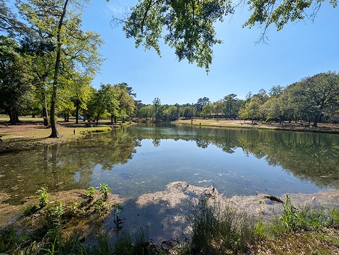 Mother Nature's mirror game is strong here. The still waters of Aiken State Park reflect towering pines and blue skies, creating a double dose of serenity.
