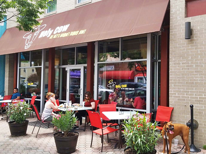 Holy Cow's inviting storefront in Del Ray beckons burger enthusiasts with its simple maroon awning and heavenly bovine logo—a preview of the divine experience within.