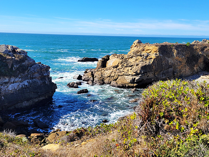 Nature's drama unfolds where rugged cliffs meet the Pacific's endless blue. This isn't Photoshop—it's just another Tuesday at Salt Point.