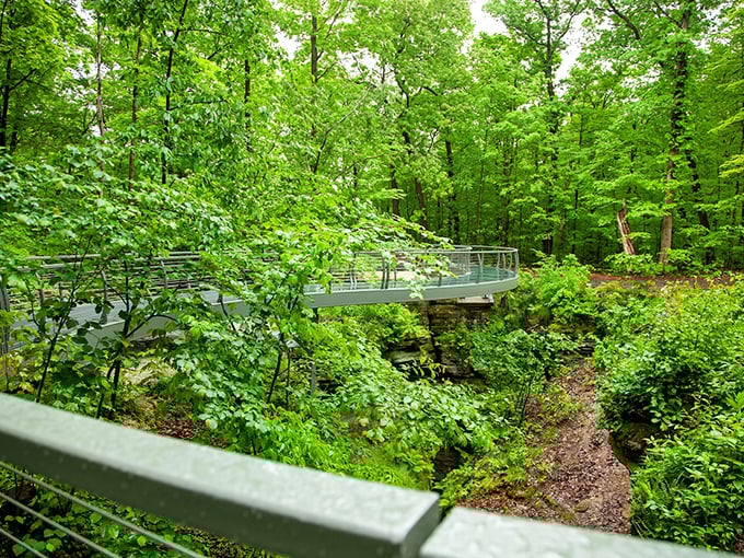 Nature's welcome mat unfurls in vibrant green as this metal footbridge invites you into a world where time seems to slow and worries evaporate into the leafy canopy.