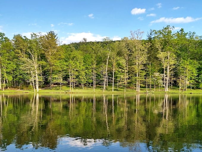 Mother Nature's masterpiece on full display – autumn mountains embracing a serene lake while picnic tables patiently wait for your sandwich collection.
