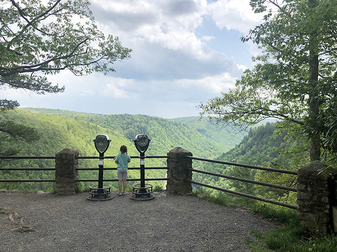 Pine Creek flows like nature's own meditation app, carving its way through Pennsylvania's Grand Canyon with the patience only water and time can master.