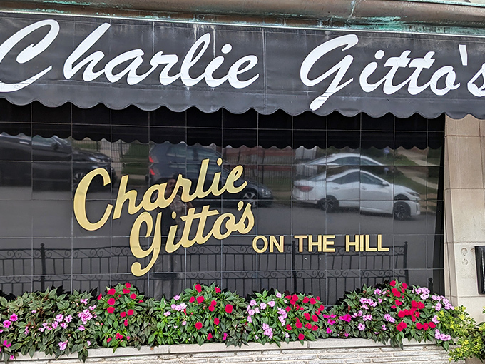 The classic brick façade of Charlie Gitto's On The Hill stands as a culinary landmark in St. Louis, promising Italian delights behind those wooden doors.