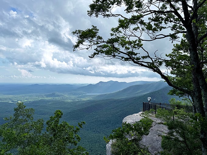The Blue Ridge Mountains unfold like nature's masterpiece, with layers of purple and blue stretching to the horizon. Standing here makes everyday worries seem delightfully insignificant.