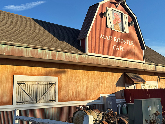 That barn-red exterior isn't fooling anyone – this rooster knows exactly what breakfast treasures lie within.