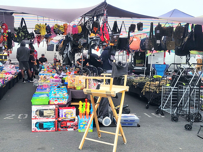 A treasure hunter's paradise where toys, bags, and gadgets compete for your attention—and somehow, everything seems like exactly what you needed.