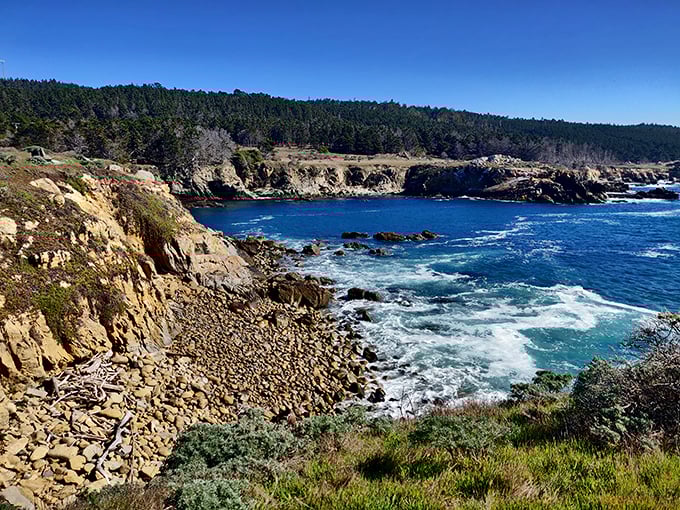 Nature's drama unfolds where rugged cliffs meet the Pacific's endless blue. This isn't Photoshop—it's just another Tuesday at Salt Point.