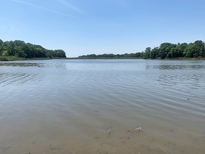 Nature's perfect seating arrangement – two Adirondack chairs overlooking the Chesapeake's shimmering waters, like front-row tickets to the best show in Maryland.