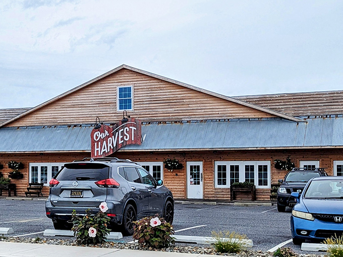 The rustic wooden exterior of Our Harvest beckons like an old friend who happens to be an exceptional cook. Delaware coastal charm meets culinary ambition.