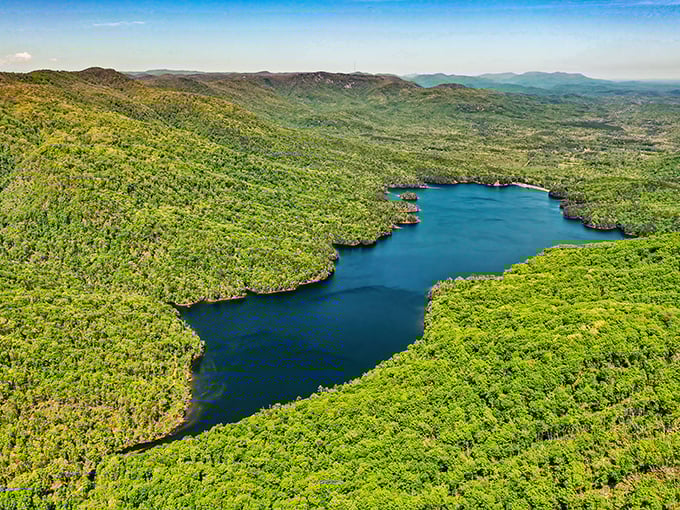Nature's masterpiece on full display – this aerial view of the pristine lake surrounded by endless green forest looks like Mother Nature showing off her best work.