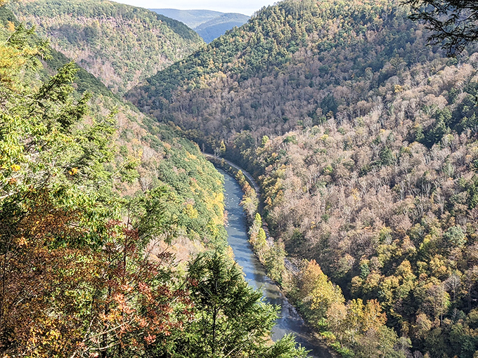 Welcome to Pennsylvania's best-kept secret, where Mother Nature apparently decided to show off just a little bit.