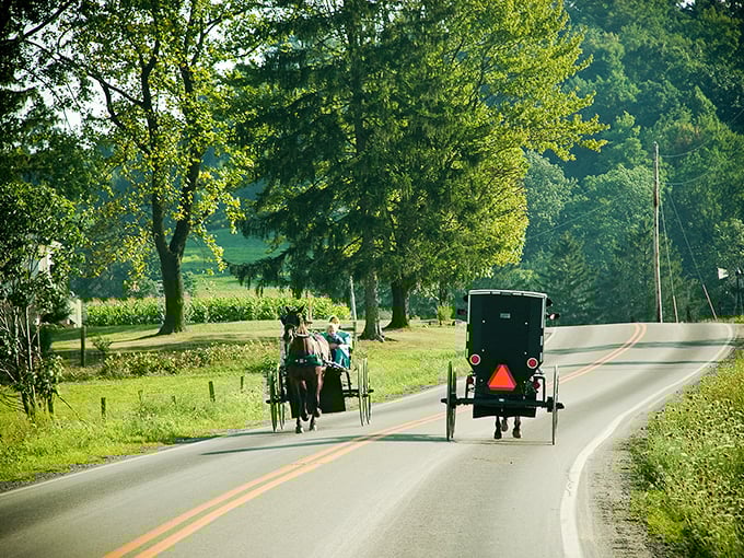Where time slows down to horse-and-buggy speed. This iconic scene captures the essence of Amish Country's rolling hills and simpler pace of life.