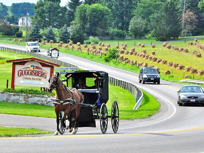 Where horse-drawn buggies and modern cars share the road, passing the iconic Guggisberg Cheese Factory. Time truly moves at two speeds in Berlin.