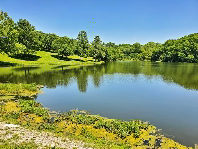 Mirror, mirror on the lake – Wallace State Park's pristine waters create perfect reflections that would make even Narcissus do a double-take.